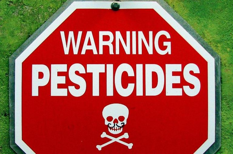 Pesticides effecting Animal Behavior: No One Saw That Coming… except ...